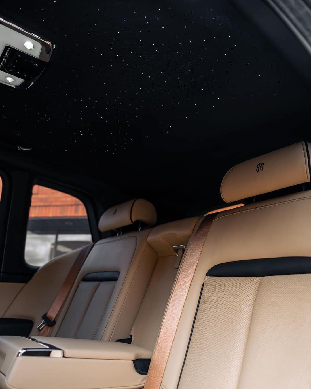 Starlight Headliner - Wraptors Hamilton